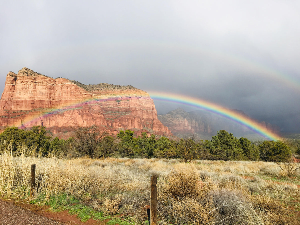 A New Year– Raven Makes Gallery