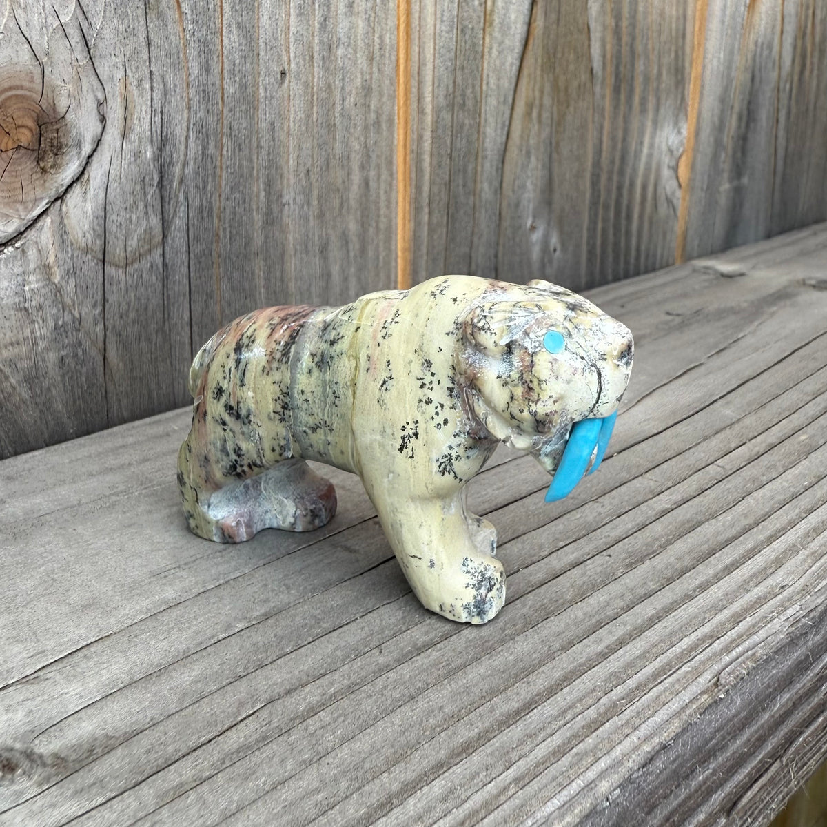 Zuni Saber Tooth Cat Fetish– Raven Makes Gallery